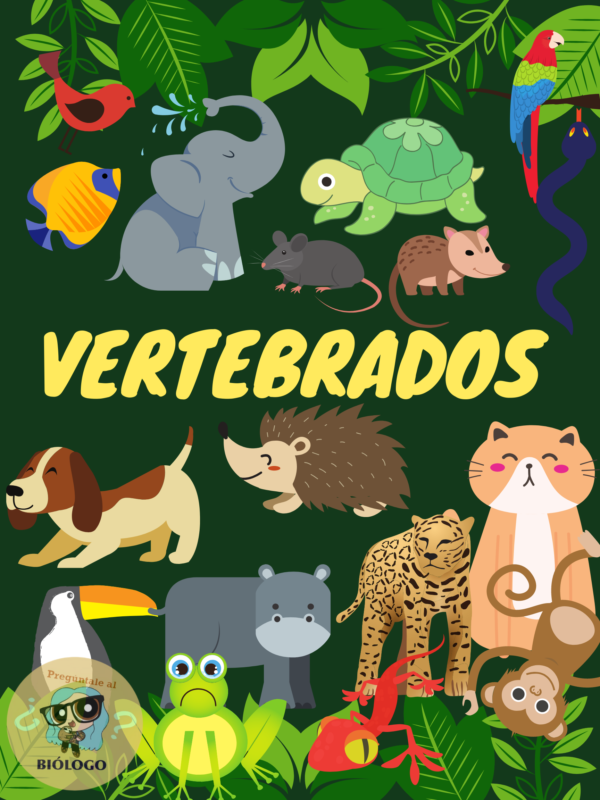 ¿Qué son los animales vertebrados? – Todo lo que necesitas saber ...